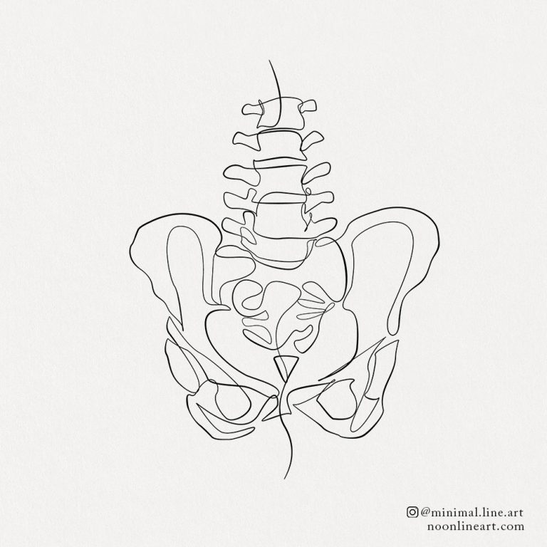 Abstract Pelvis | Tattoo Permission Form - Noon Line Art